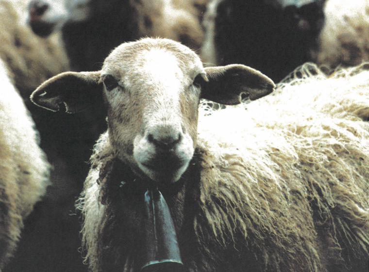 New Collection | YERSE